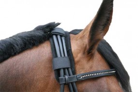 CeraTex Therapeutischer Genickschoner | CeraTex - Infrarot Textilien ...