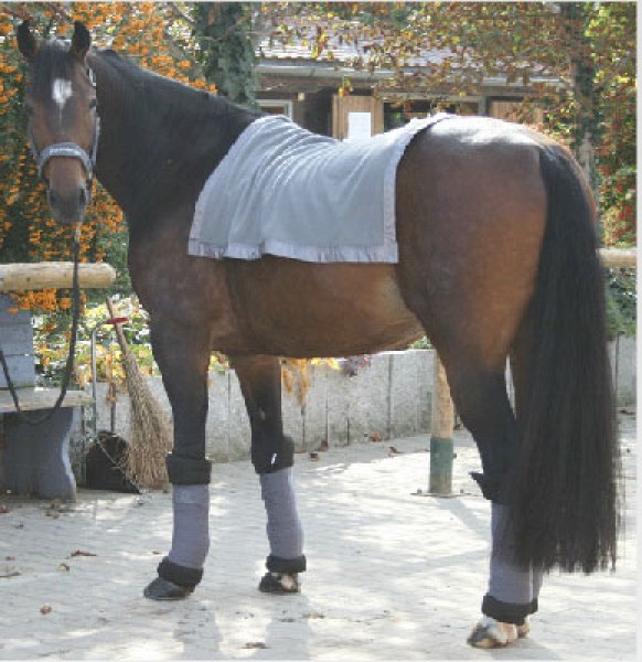 CeraTex Fleece-Kuscheldecke | CeraTex - Infrarot Textilien | Pferde ...